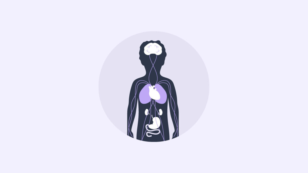 Lifelong Health and Well-being - Center on the Developing Child at ...